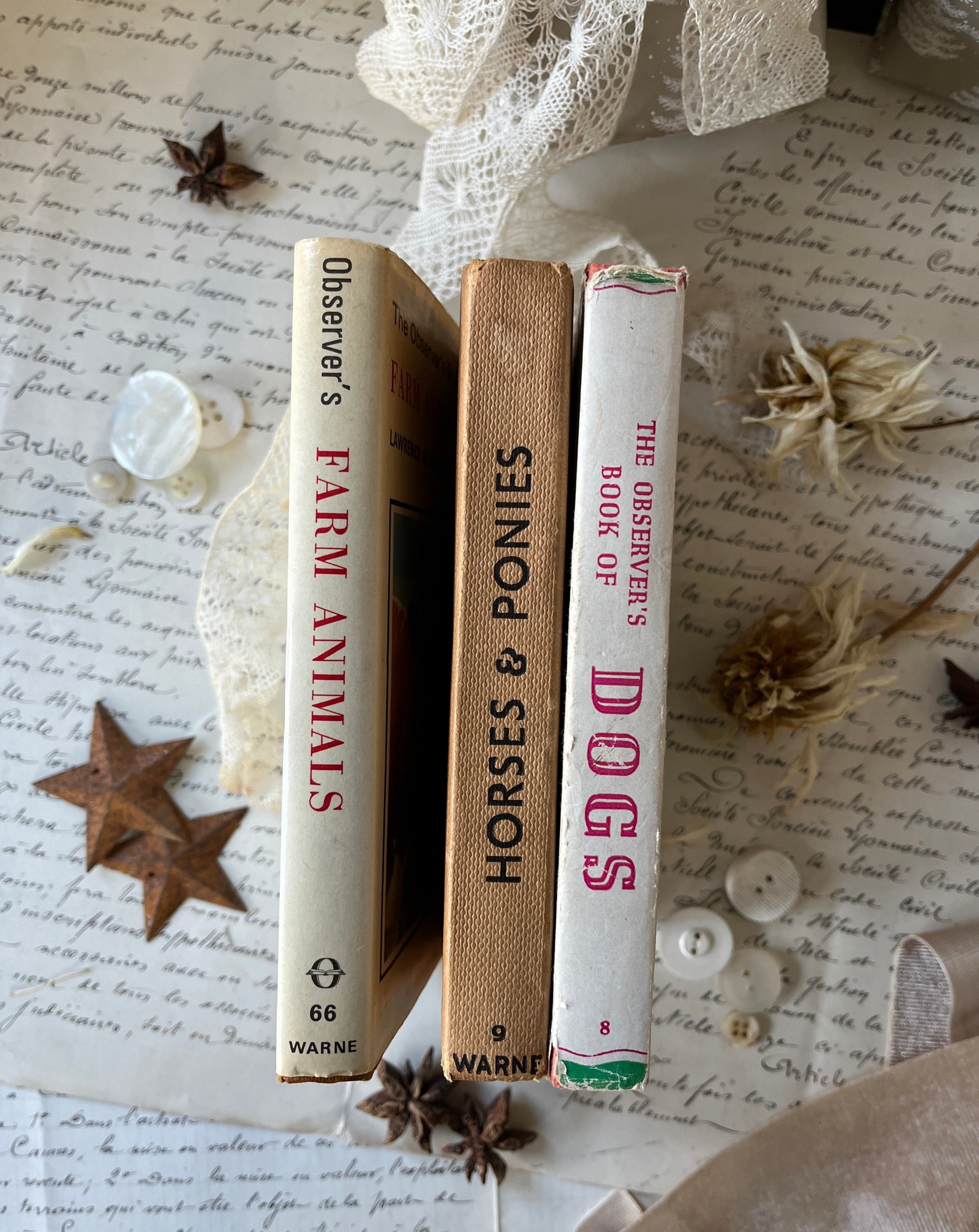 Three Vintage Observer Books – West and Co Interiors